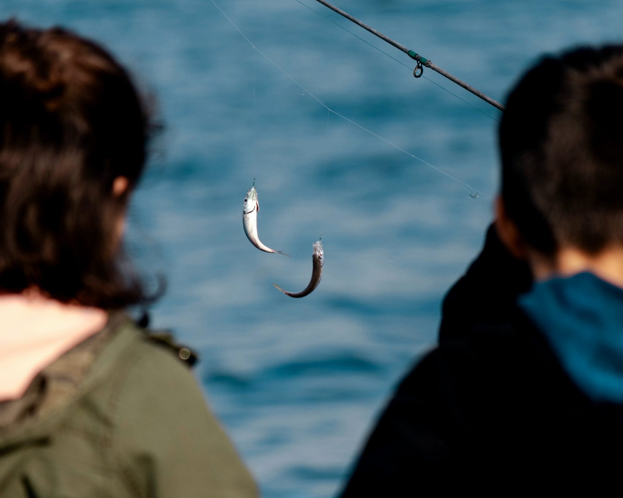 Descubre los mejores lugares y técnicas de pesca en Colombia para una ...